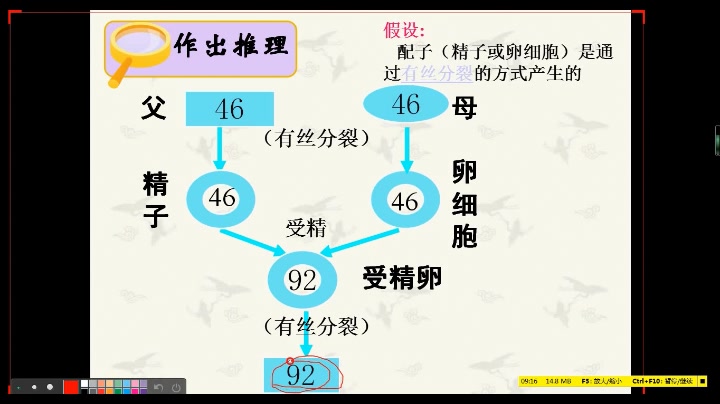减数分裂第一课时