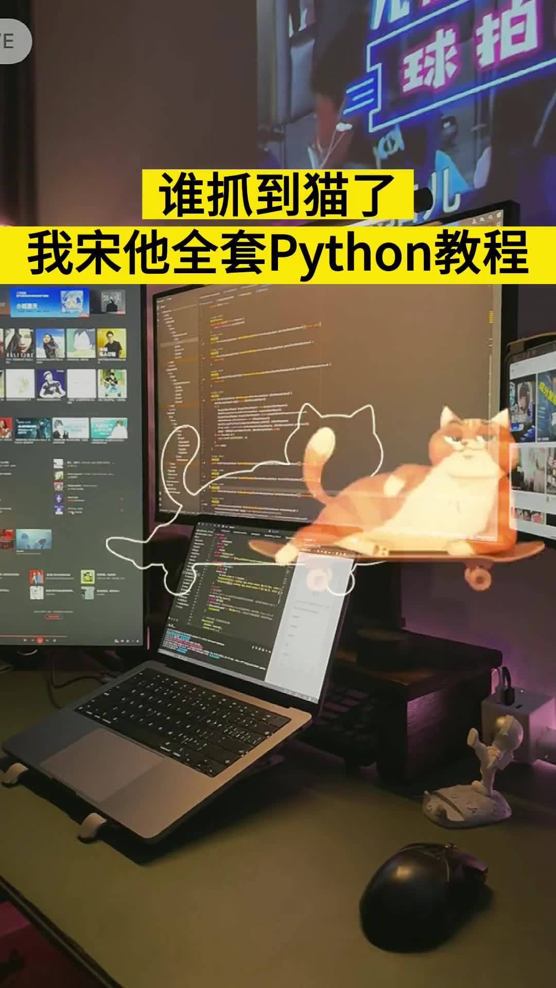 拼手速的时候到了,全套Python编程学习教程