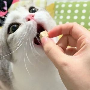 醉残雷 
