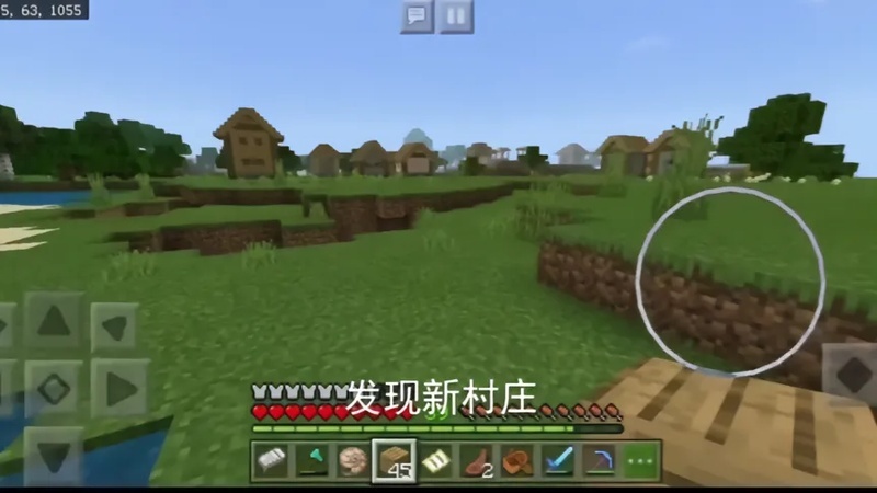 我的世界基岩版12:无意发现新村庄和蜜蜂,在下界掉入岩浆海两次