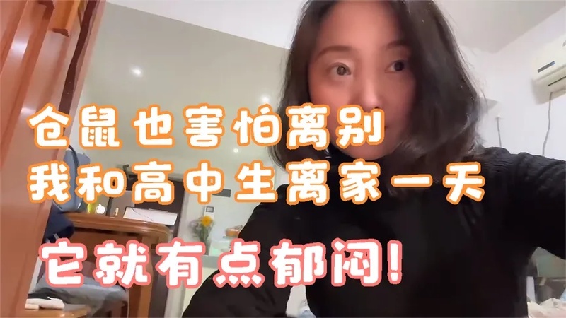 仓鼠也害怕离别,我和高中生离家一天,它就有些郁闷!