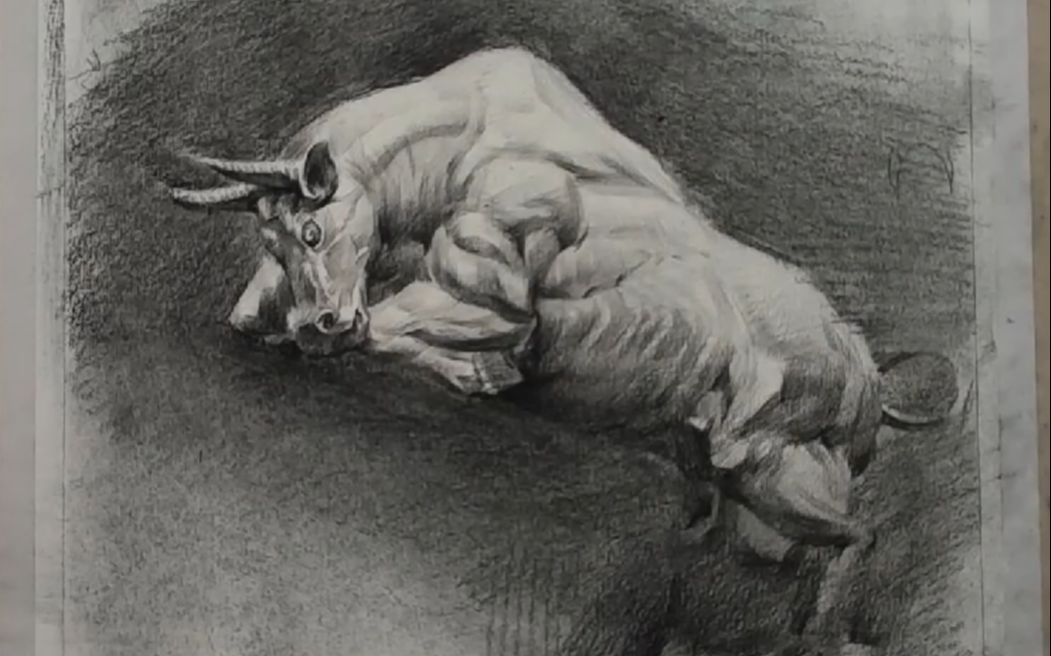 【素描教程】素描动物绘画过程,一个远古级的教程