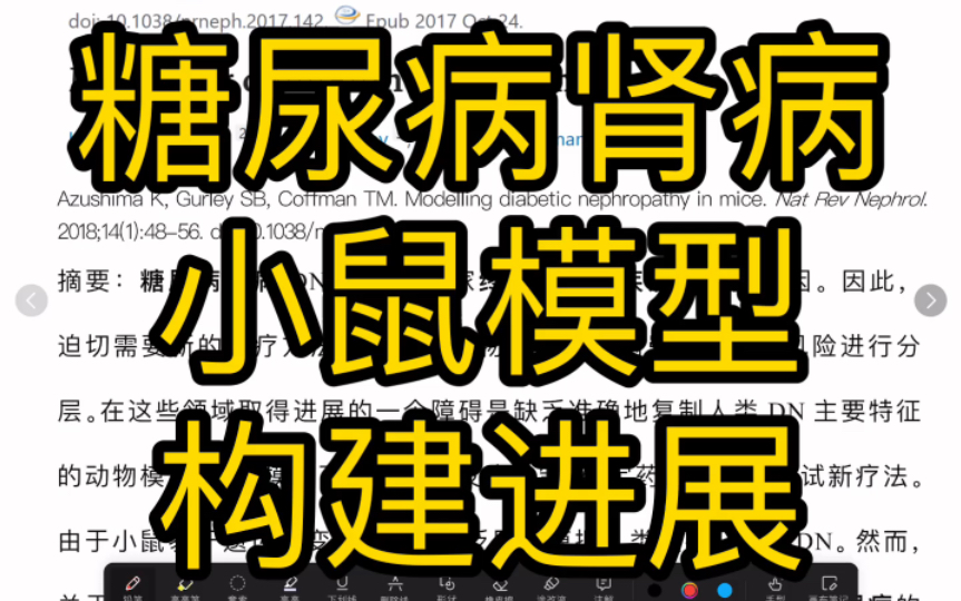 【文献阅读】糖尿病肾病小鼠模型构建进展【医学科研】