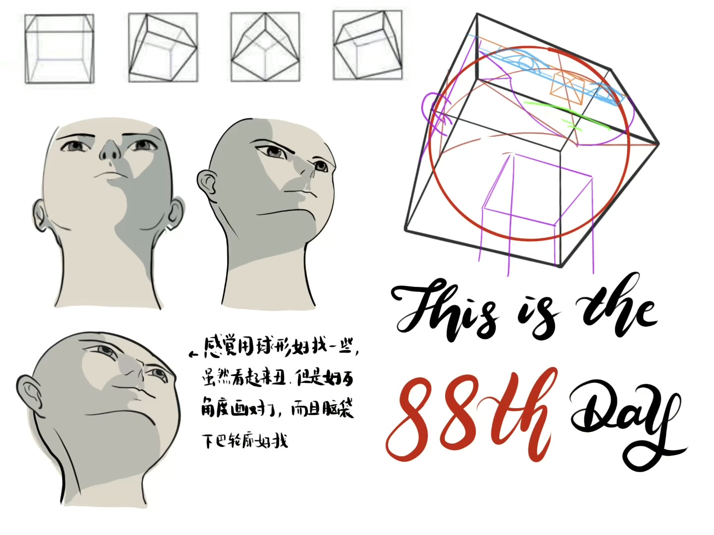 【绘画】手残党零基础自学练画人体结构练习第八十八天-头部角度练习