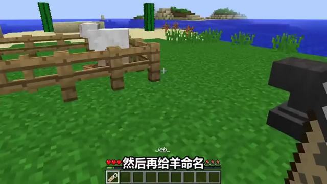 我的世界,改个名就能变色?这种羊你见过吗?
