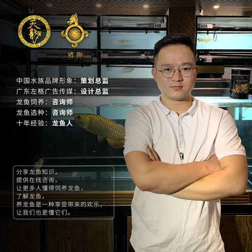 龙鱼阿捷 