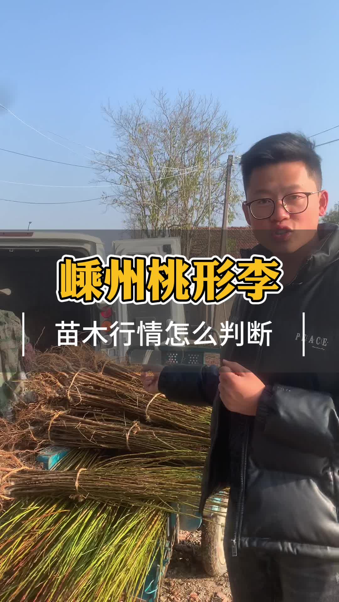 果树苗的价格由什么决定