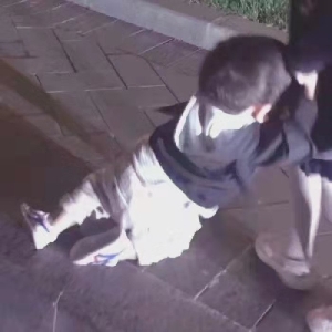 炖炖兔崽子 
