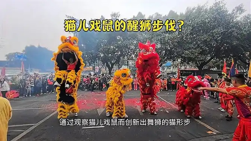 醒狮献瑞!广州钟村独特醒狮:观察"猫儿戏鼠"创新的舞狮猫型步