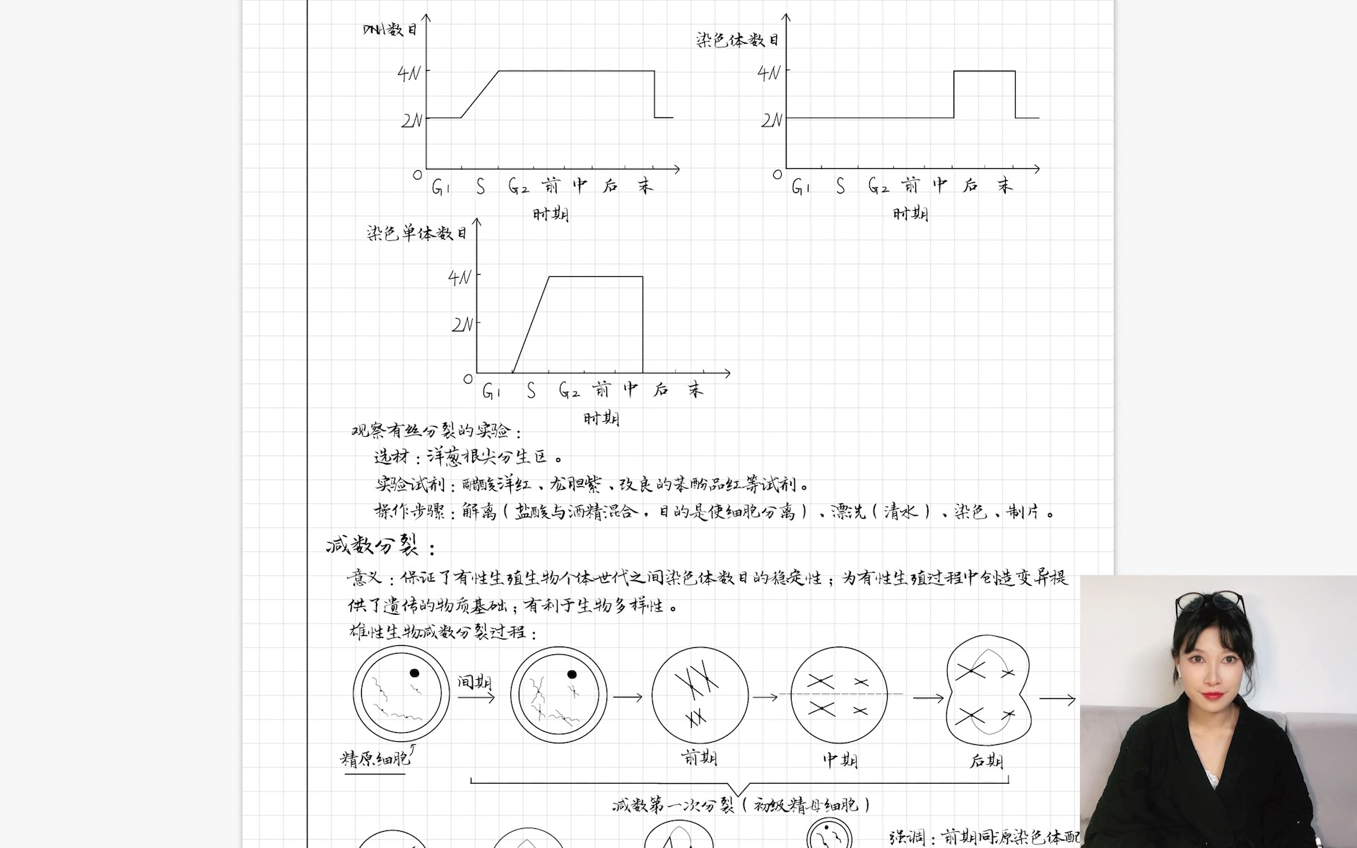 高中生物必修二(遗传)分离定律、自由组合定律、伴性遗传、减数分裂...