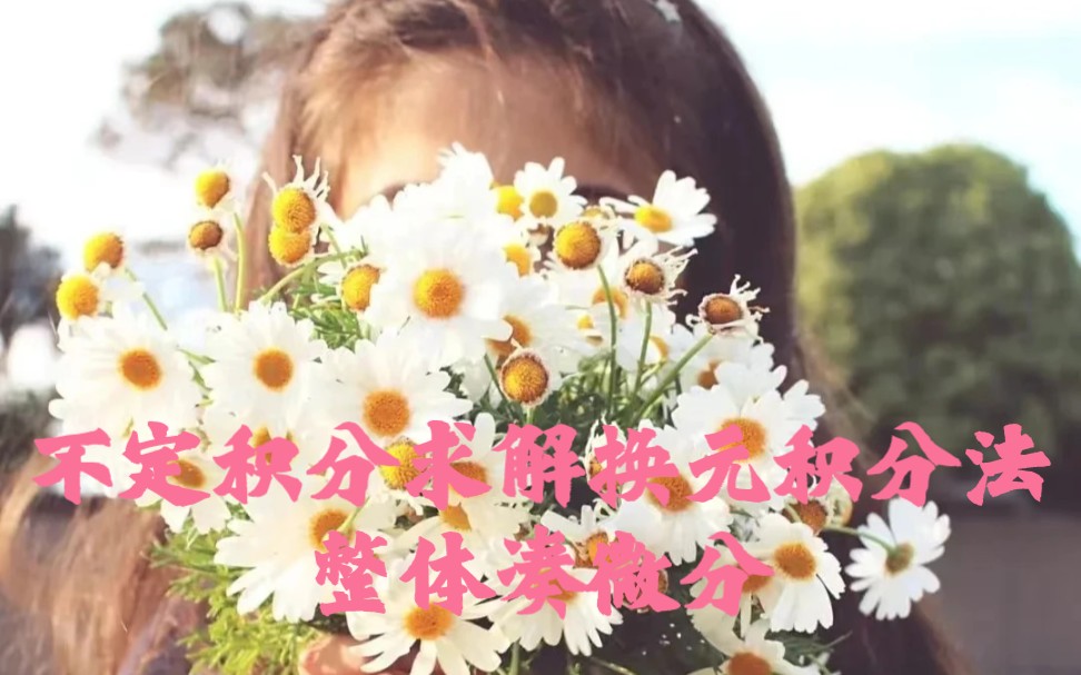 不定积分求解-换元积分法-整体凑微分