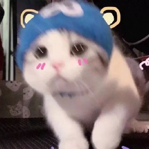 凌羽Qv 