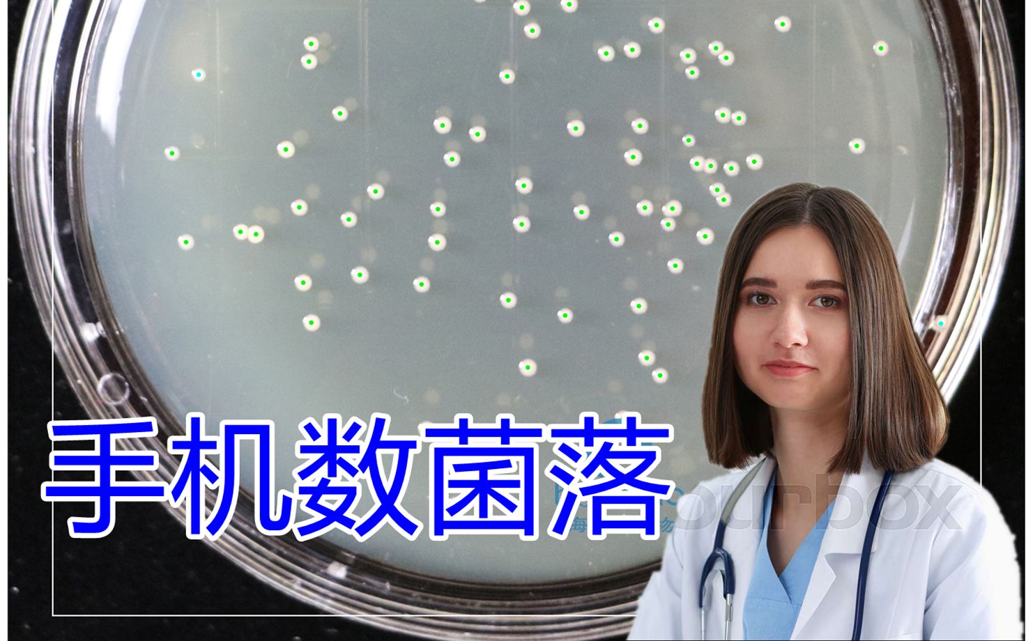 培养皿中琼脂平板上菌落形成单位的自动识别计数总数数量