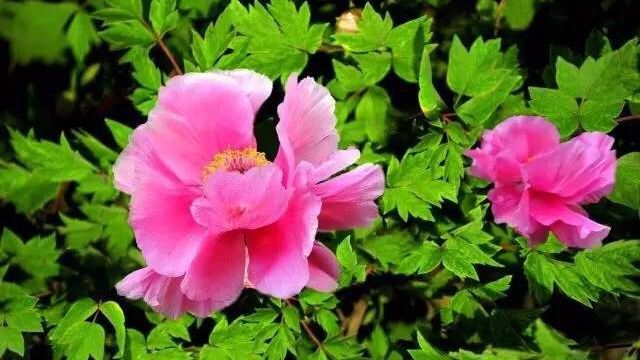 山西学生诚信教育宣传片