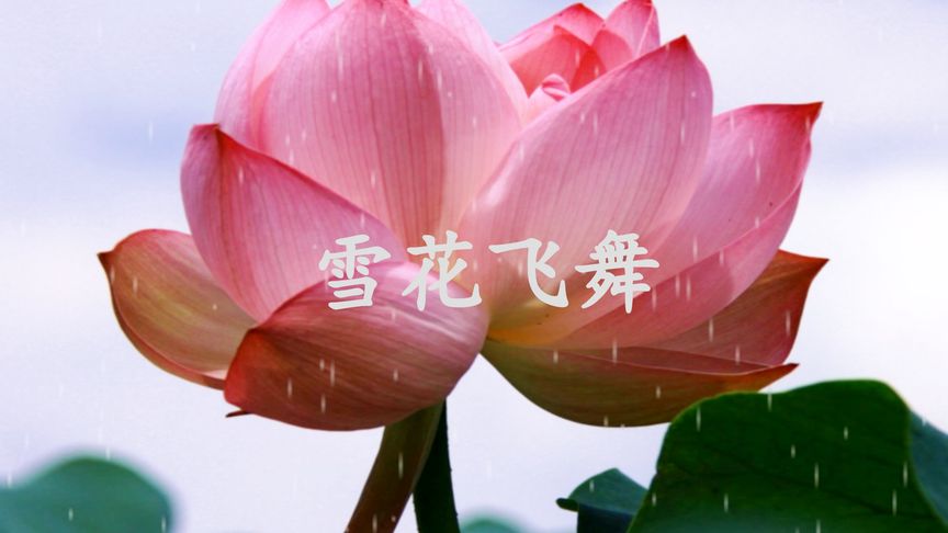 寒冷的冬天来了,会声会影这一强大功能可为你制作雪花飞舞的效果