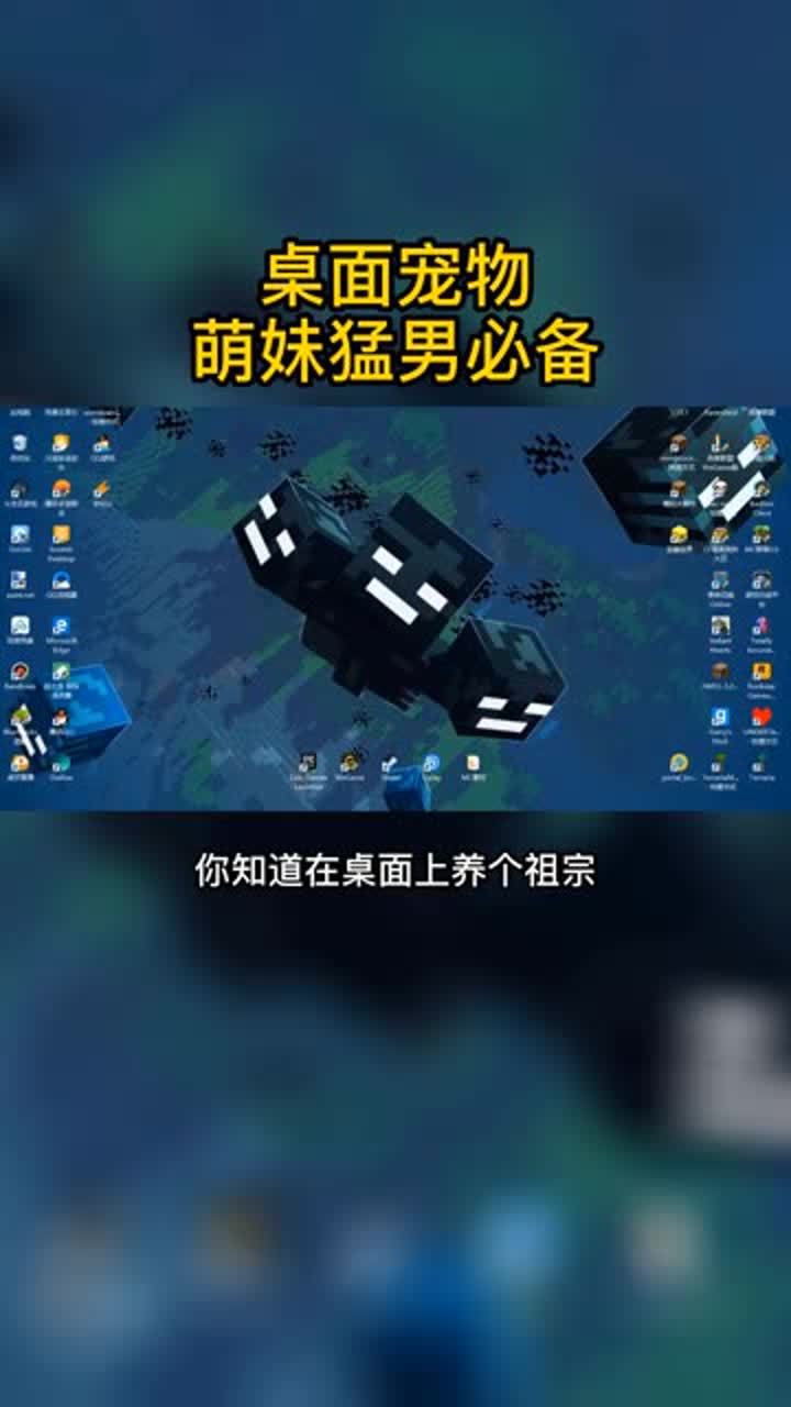 桌面宠物,强烈推荐 #宠物 #计算机 #电脑