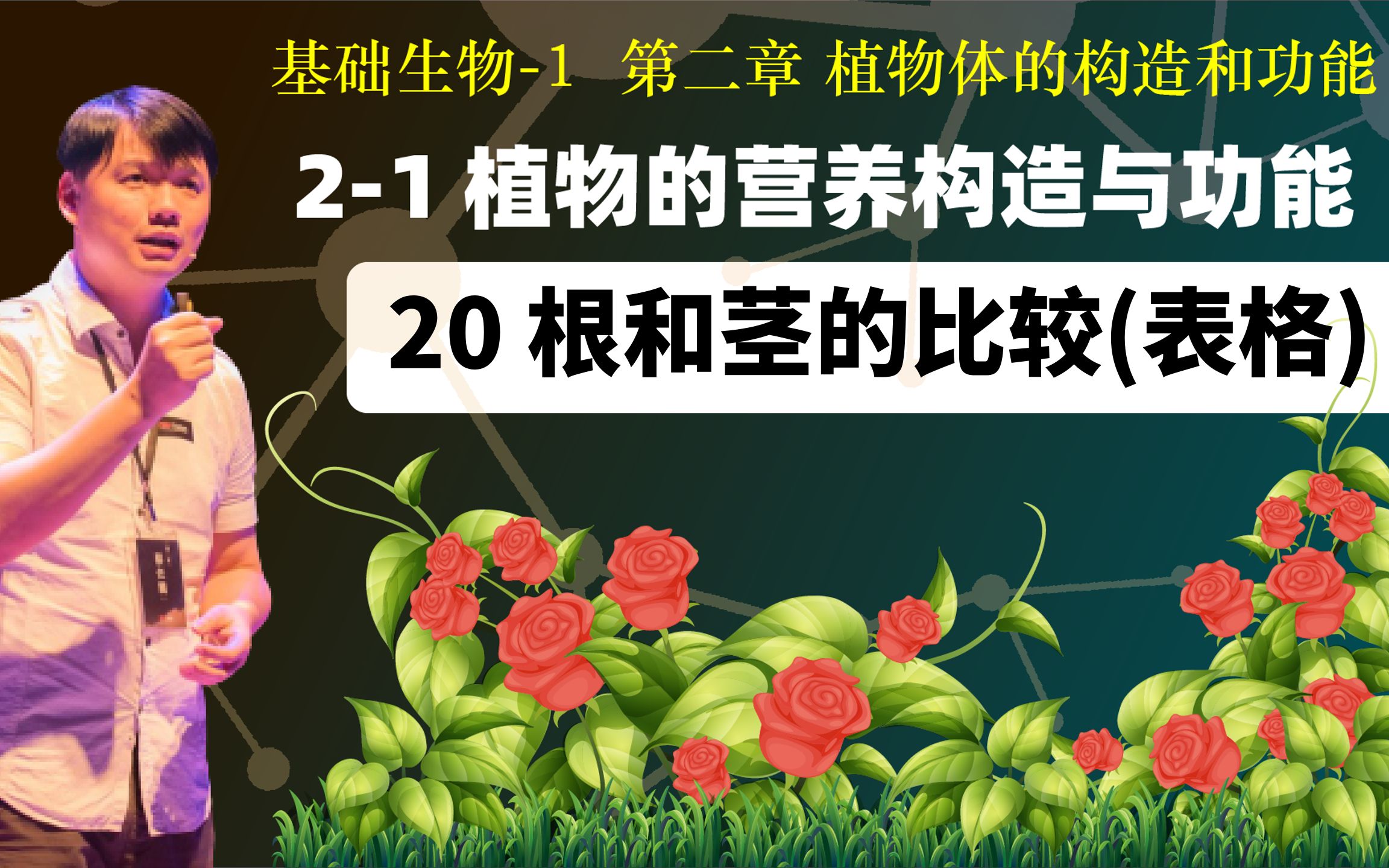 基础生物学 2-1.20 根与茎的比较(表格)