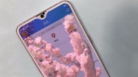 教你在QQ微信上设置“樱花主题”,半透明的动态壁纸超好看!