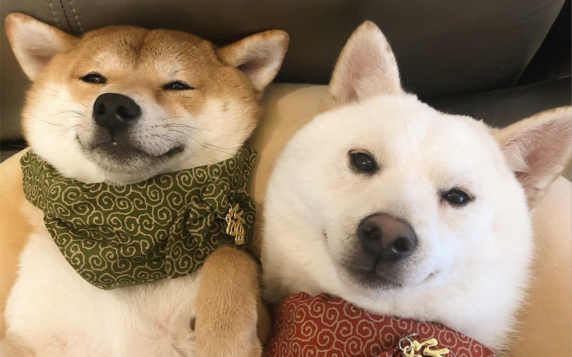 【苏勋伦】微信视频号合辑||持更