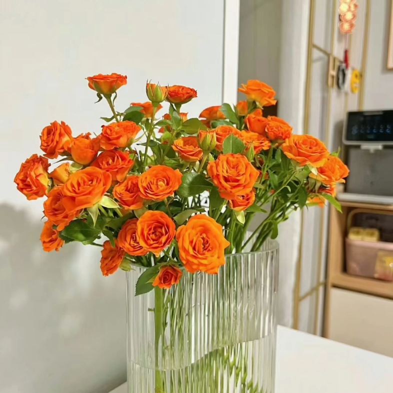 二建后审https://rs.jshrss.jiangsu.gov.cn/index/个人办事-人才人事-江苏省...