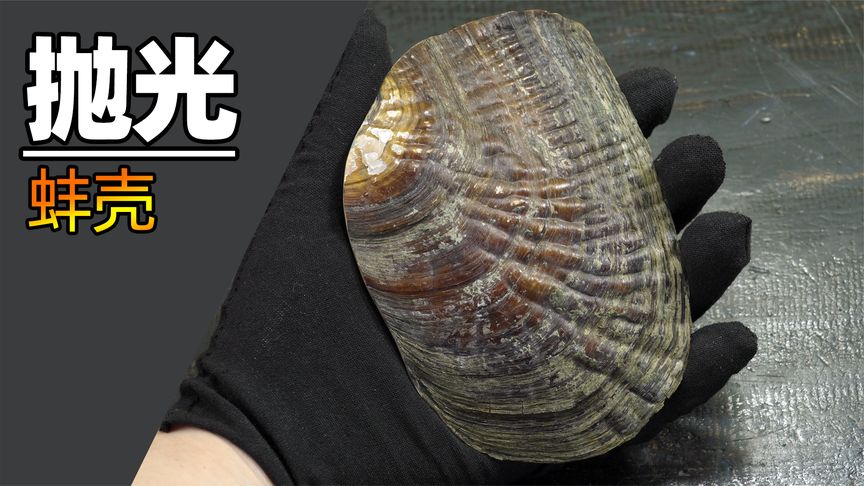 【抛光狂魔】耗时12小时打磨蚌壳,比珍珠还漂亮!