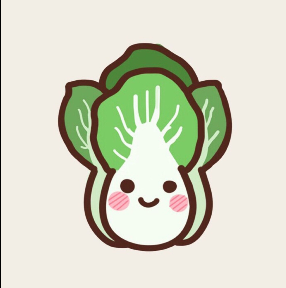 O白菜君 