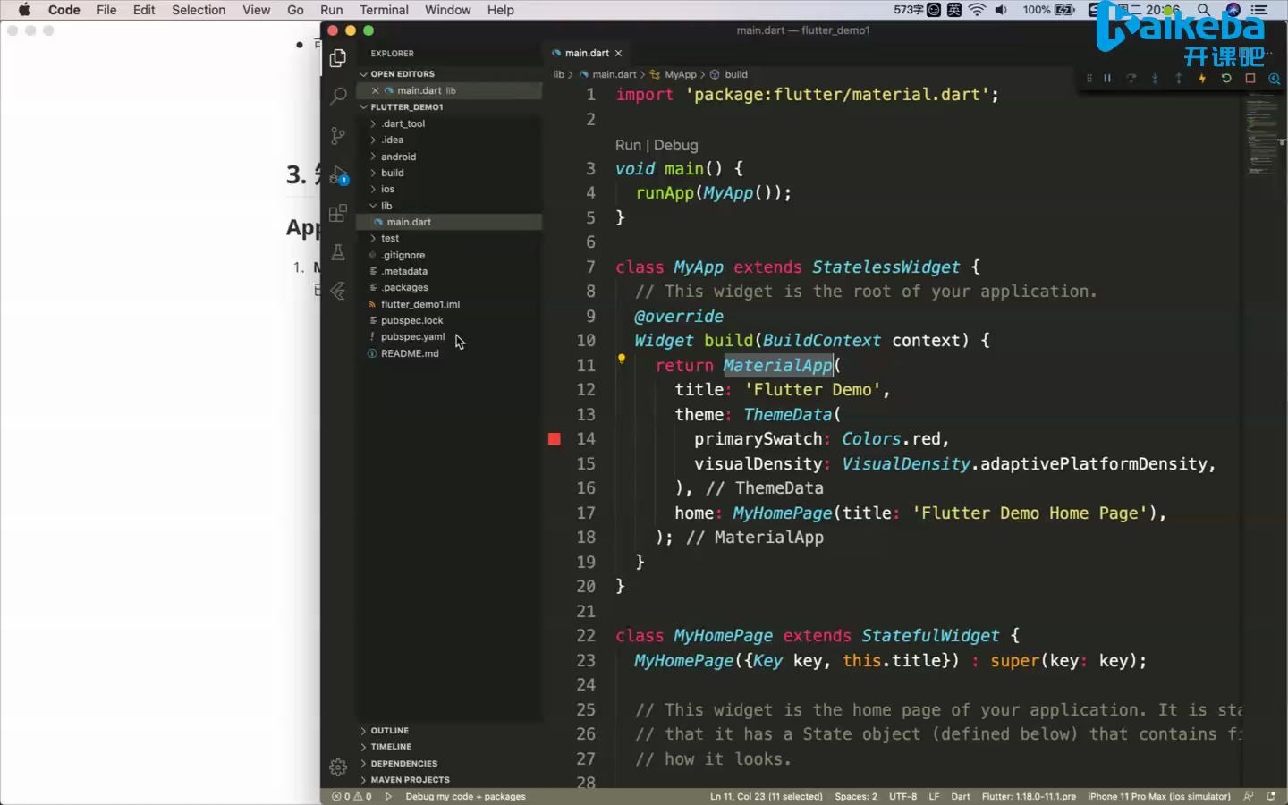 Flutter APP