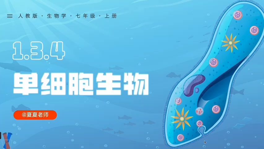 【夏夏老师】1.3.4 《单细胞生物》微课视频