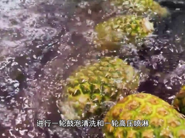 迪拜刀法厚切凤梨干