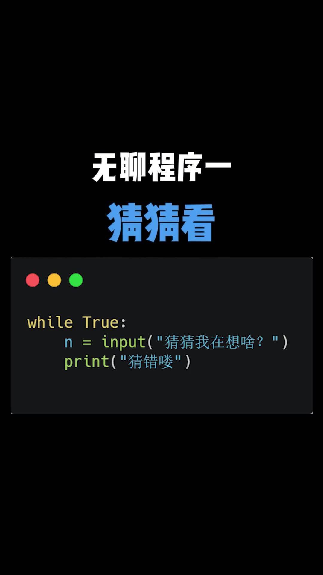 每一行代码,都是创意与技巧的完美结合。