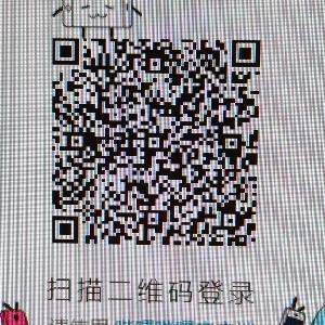 狐狸精张加贝 