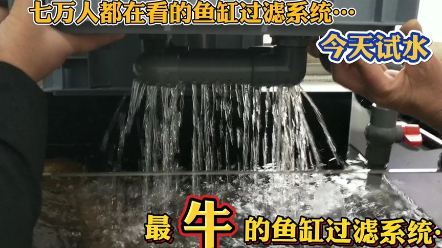 70000人都在看的鱼缸过滤系统!今天试水,低成本最牛的鱼缸过滤