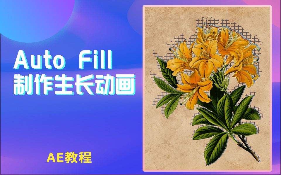 Auto fill 制作生长动画-AE教程(插件)