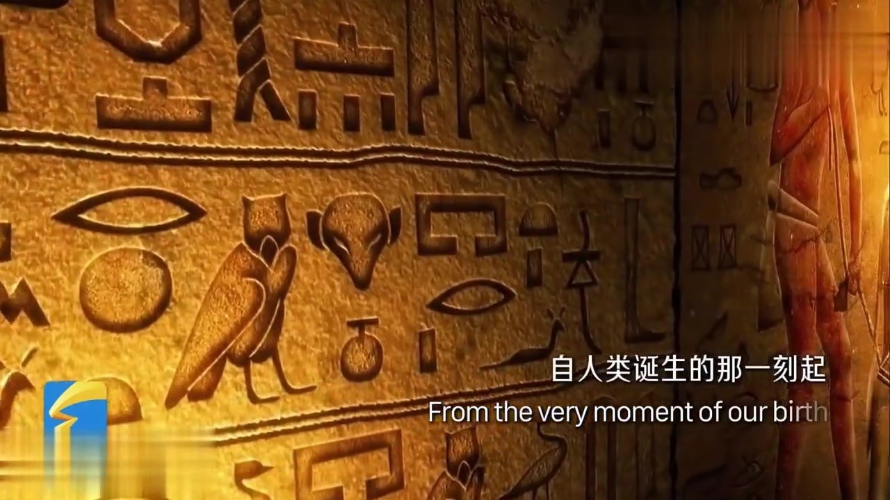 自人类诞生的那一刻起,数字就已悄然融入我们的生活