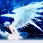 星随缘remember 