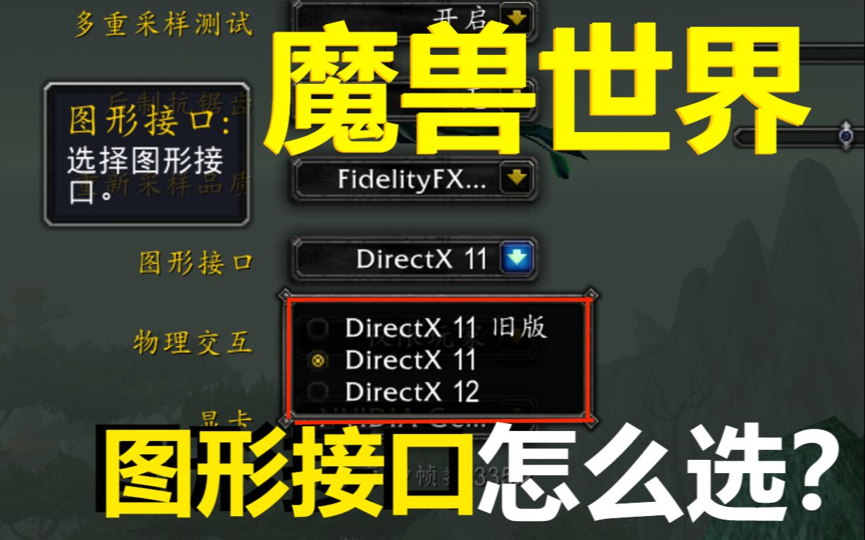 【魔兽世界】系统高级图形接口里面到底选DX11还是DX12?选对了帧...