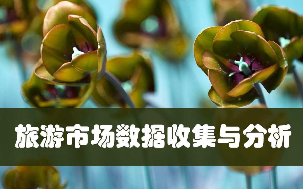 旅游市场数据收集与分析