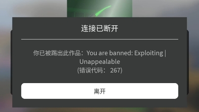 roblox错误代码267被踢出如何解除