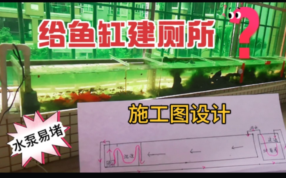 水泵易堵怎么办?给鱼缸自制个鱼厕所吧,鱼粑粑自动收集分离器