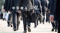 中等收入群体超3亿人, 你达标了吗?