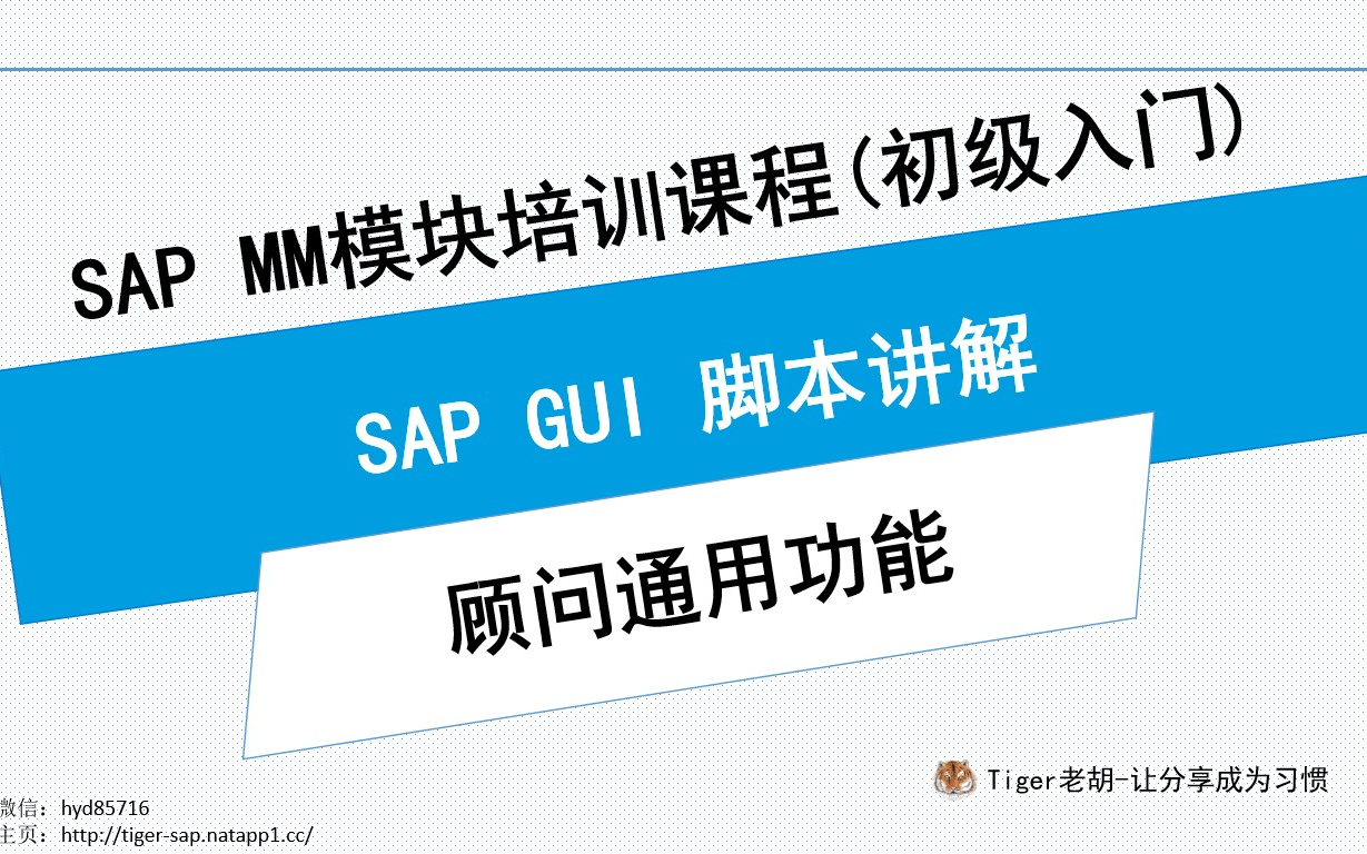 SAP GUI Script 脚本 使用说明
