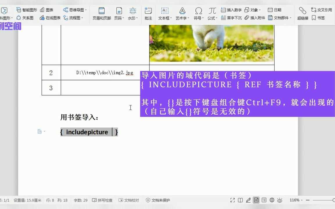 在文档里导入图片【域代码】