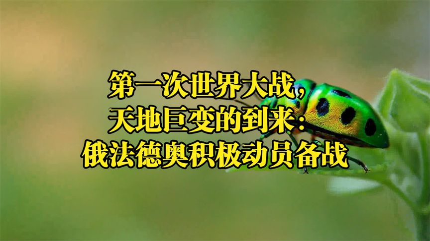 第一次世界大战,天地巨变的到来:俄法德奥积极动员备战