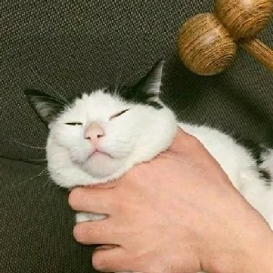 一土鹿
