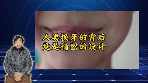 人类换牙齿的背后,藏着精密的人体设计!