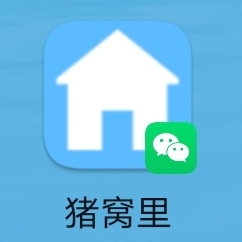 b站技术宅 