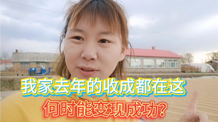 东北水稻种植户的烦恼,去年的收成还没变现,怎么生活下去?