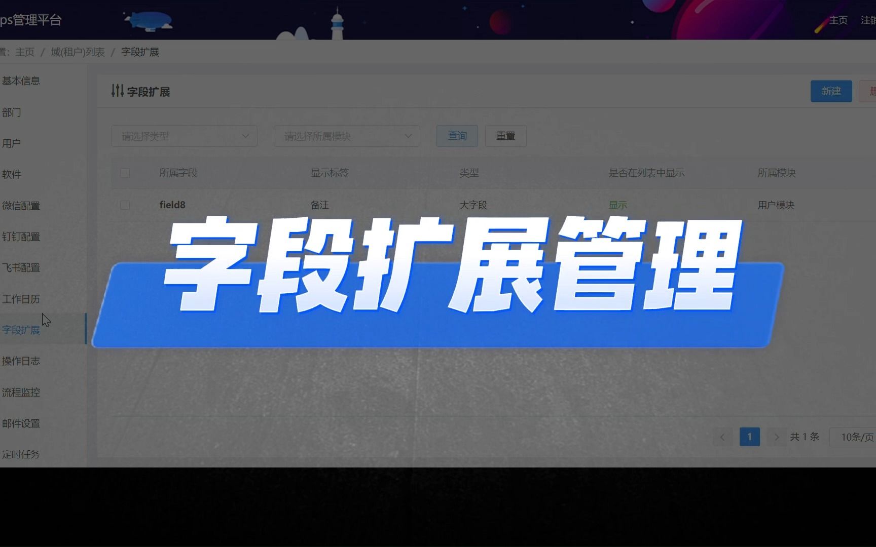 08-字段扩展管理