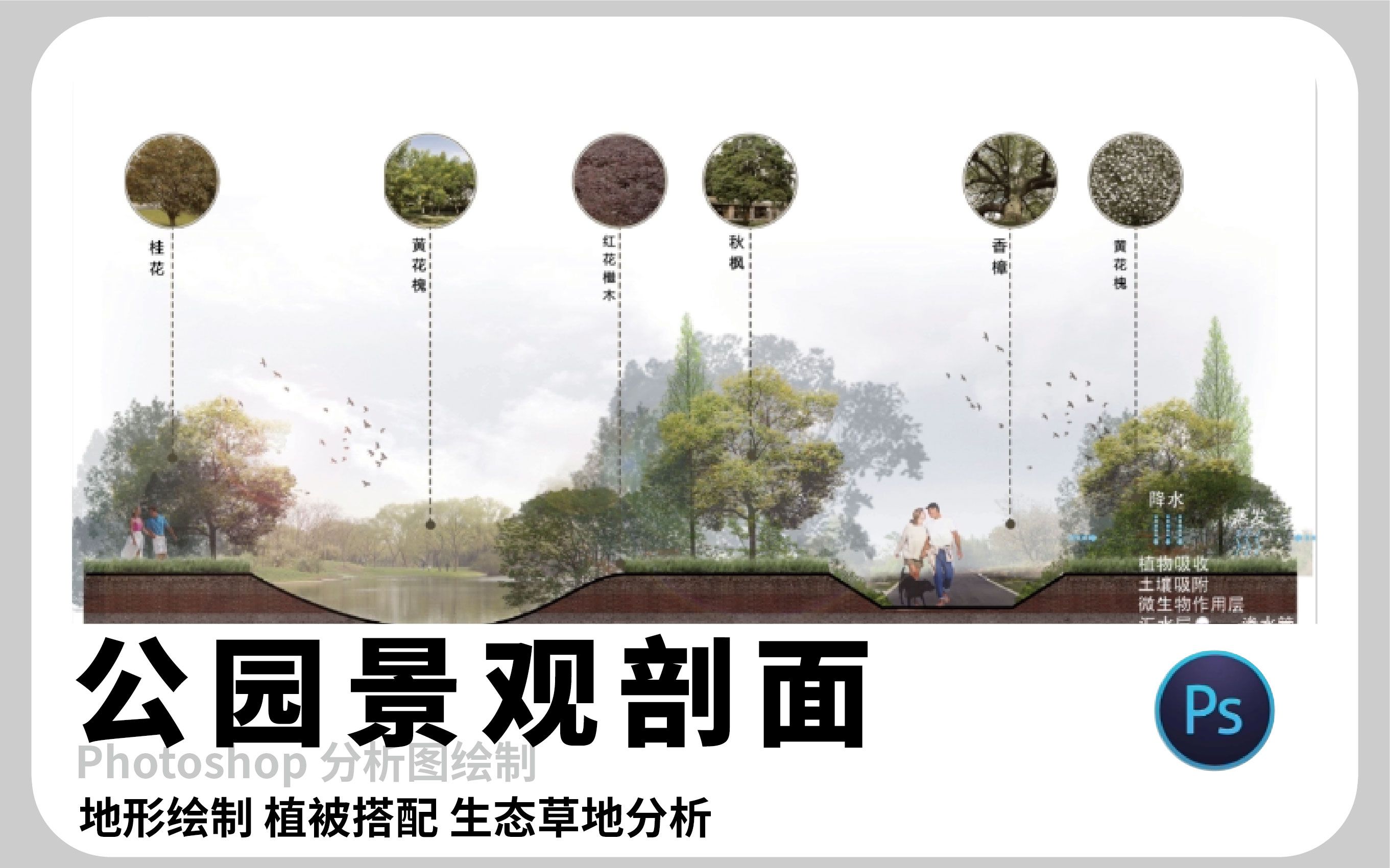 Photoshop分析图绘制—公园景观剖面