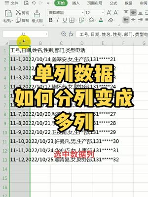 #excel #excel零基础入门教程 #电脑培训 #wps表格技巧 #文员 #wps...